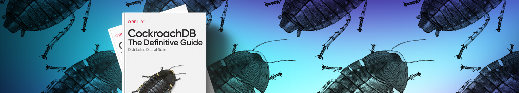 The Importance Of Being Earnestly Random Metamorphic Testing In